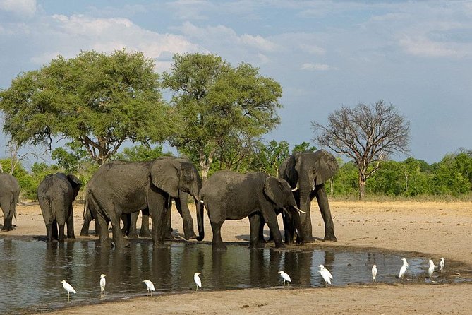 Hwange National Park 3 Days Package | Wonderful Zimbabwe